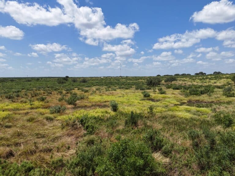 260 Acres Salt Branch Ranch | South Texas Ranch for Sale | Dullnig Ranches