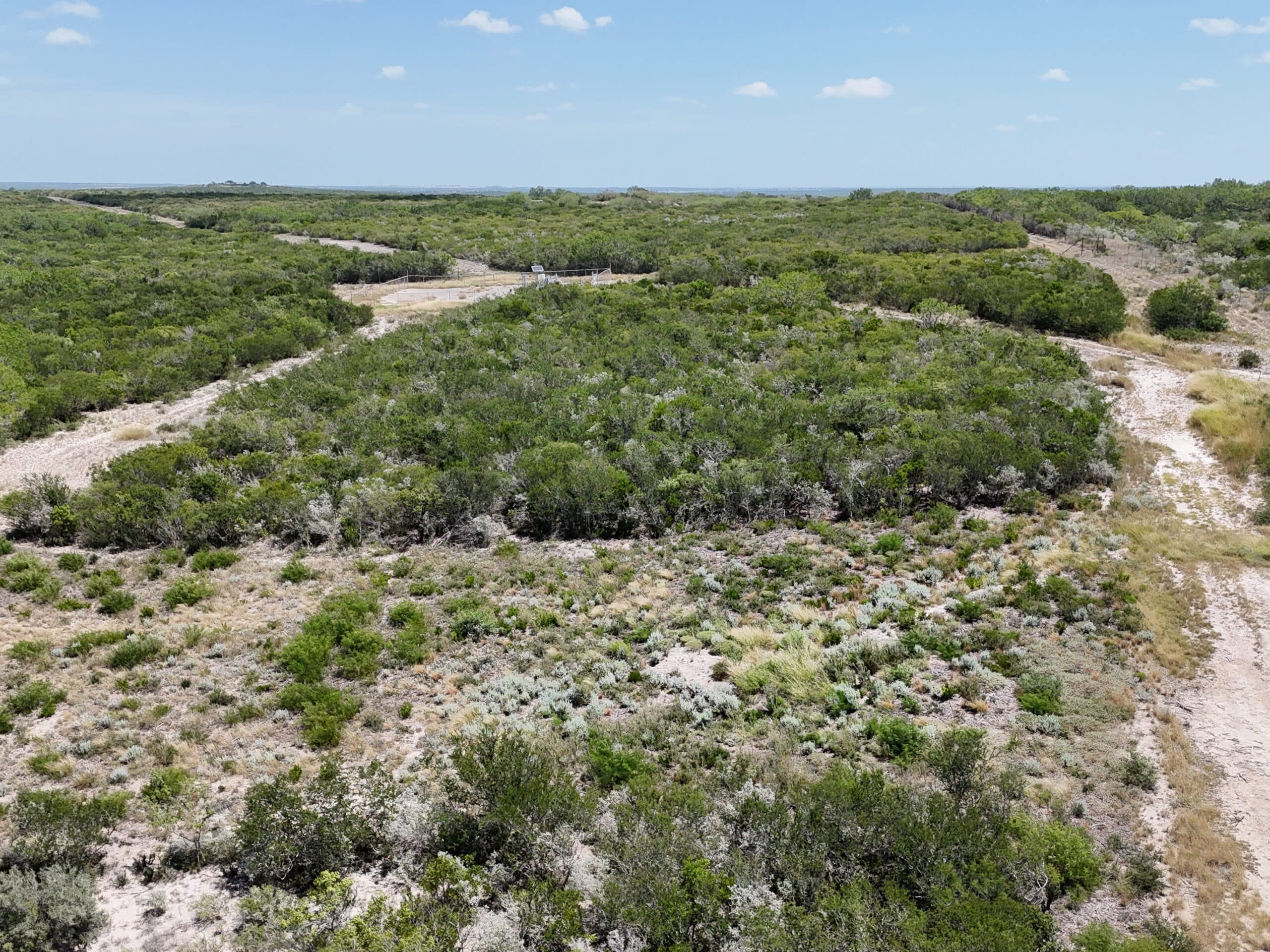 260 Acres Salt Branch Ranch | South Texas Ranch for Sale | Dullnig Ranches