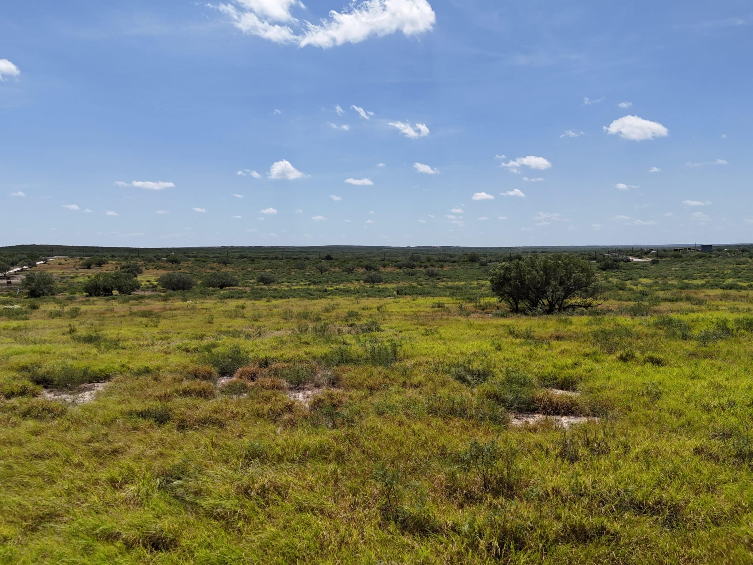 260 Acres Salt Branch Ranch | South Texas Ranch for Sale | Dullnig Ranches