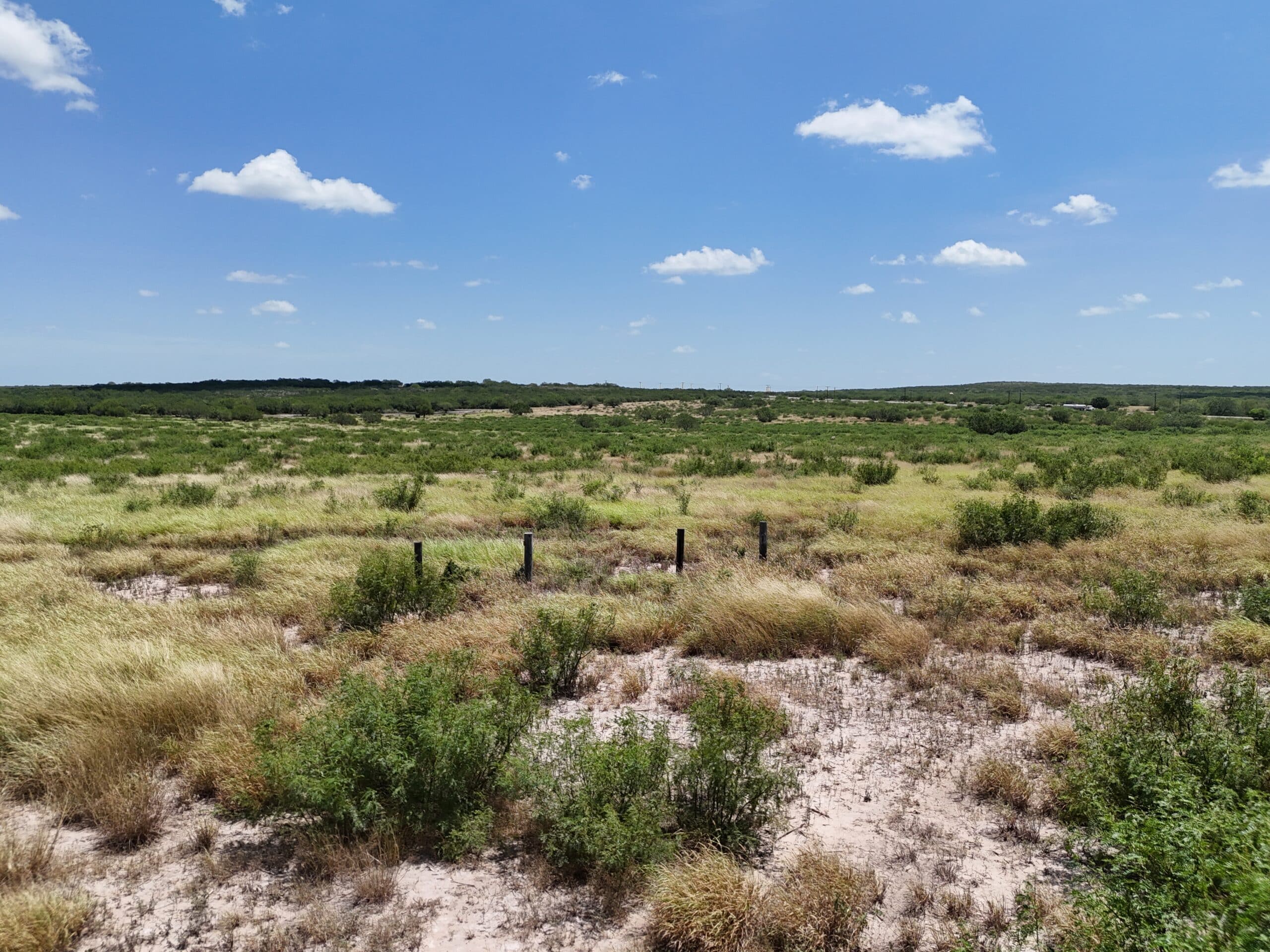 260 Acres Salt Branch Ranch | South Texas Ranch for Sale | Dullnig Ranches