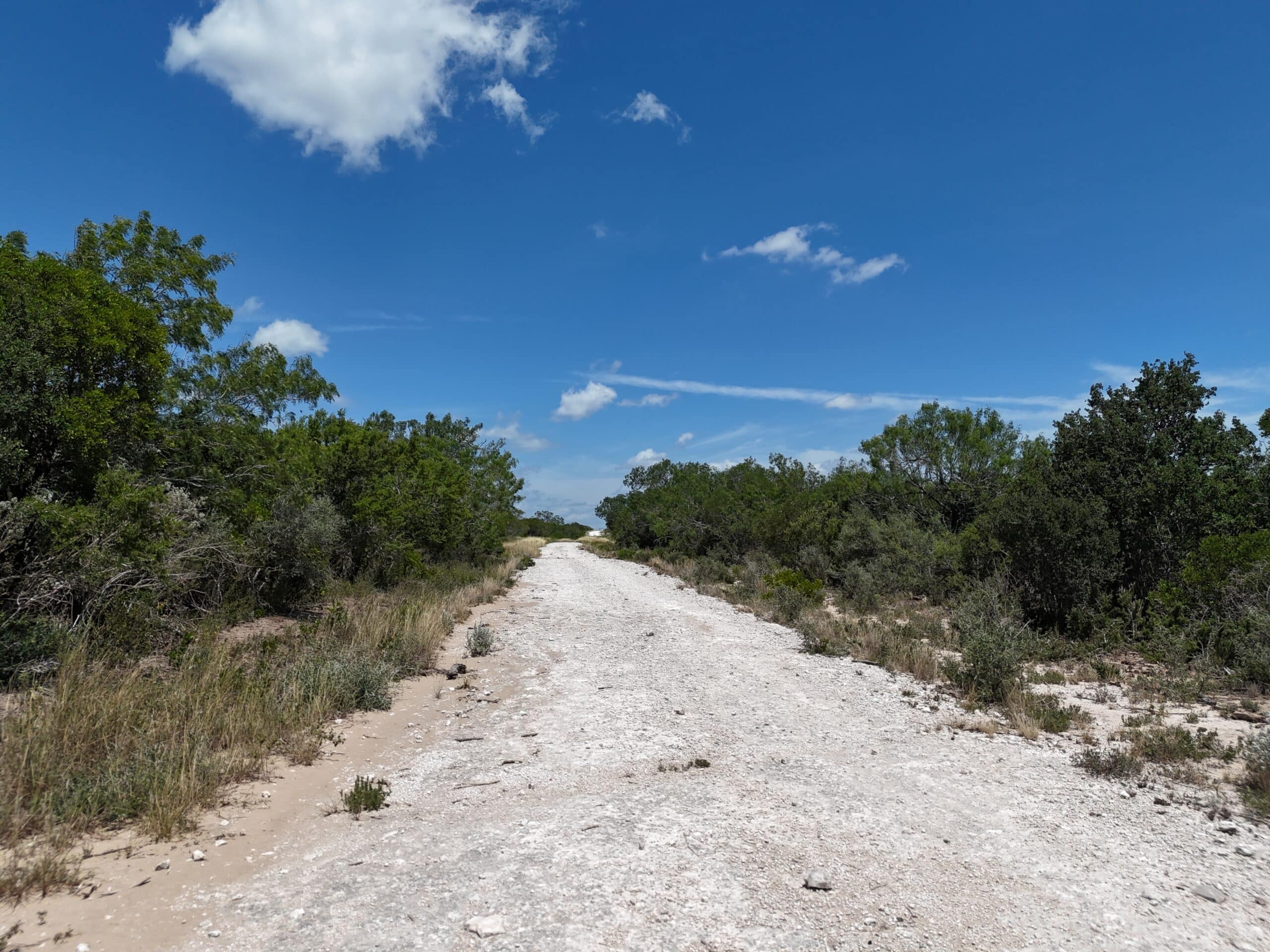 260 Acres Salt Branch Ranch | South Texas Ranch for Sale | Dullnig Ranches