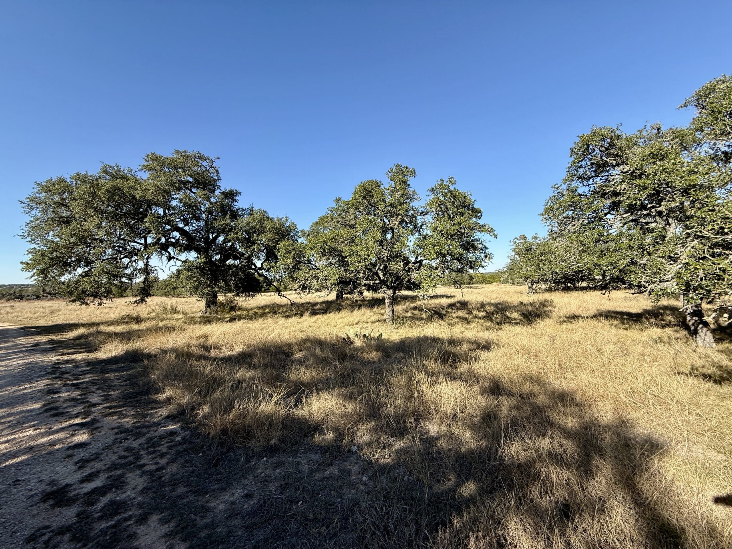 505 Acres Cinco Ranch | Hill Country Ranch for Sale | Dullnig Ranches