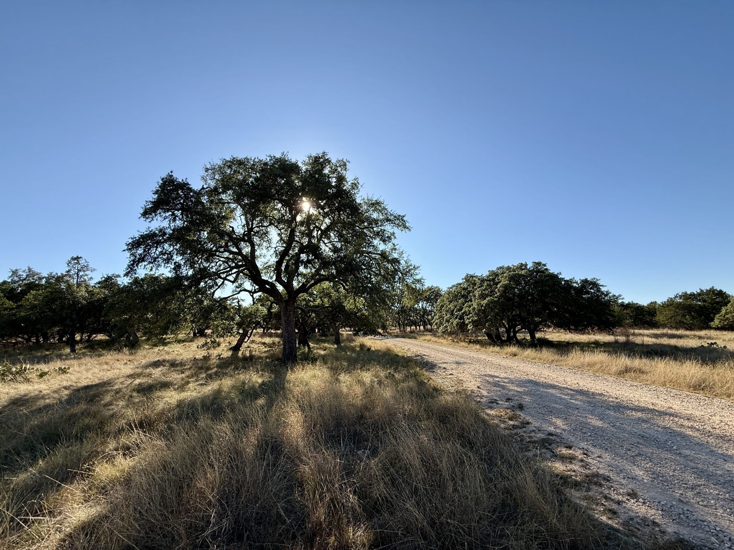505 Acres Cinco Ranch | Hill Country Ranch for Sale | Dullnig Ranches