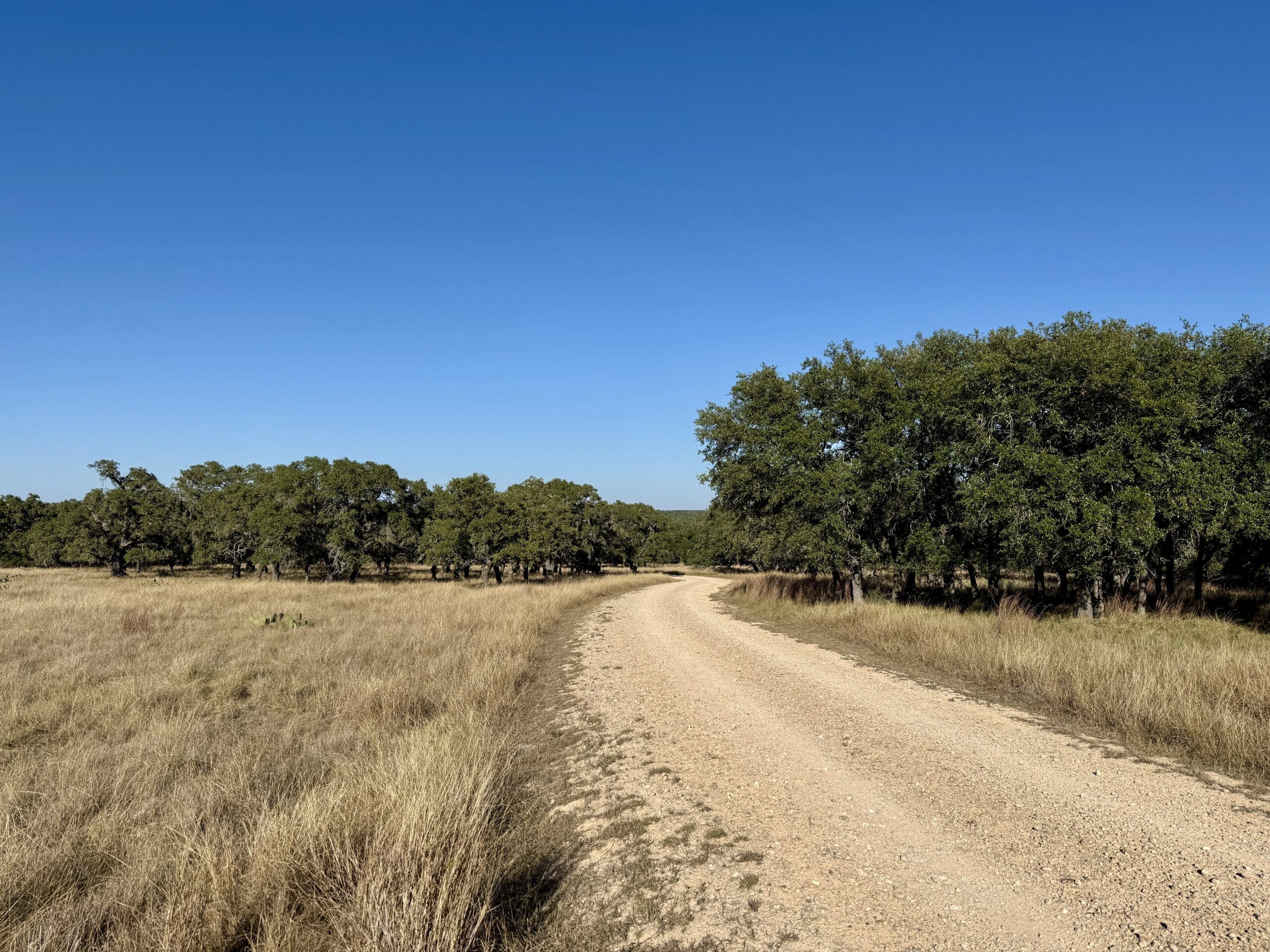505 Acres Cinco Ranch | Hill Country Ranch for Sale | Dullnig Ranches