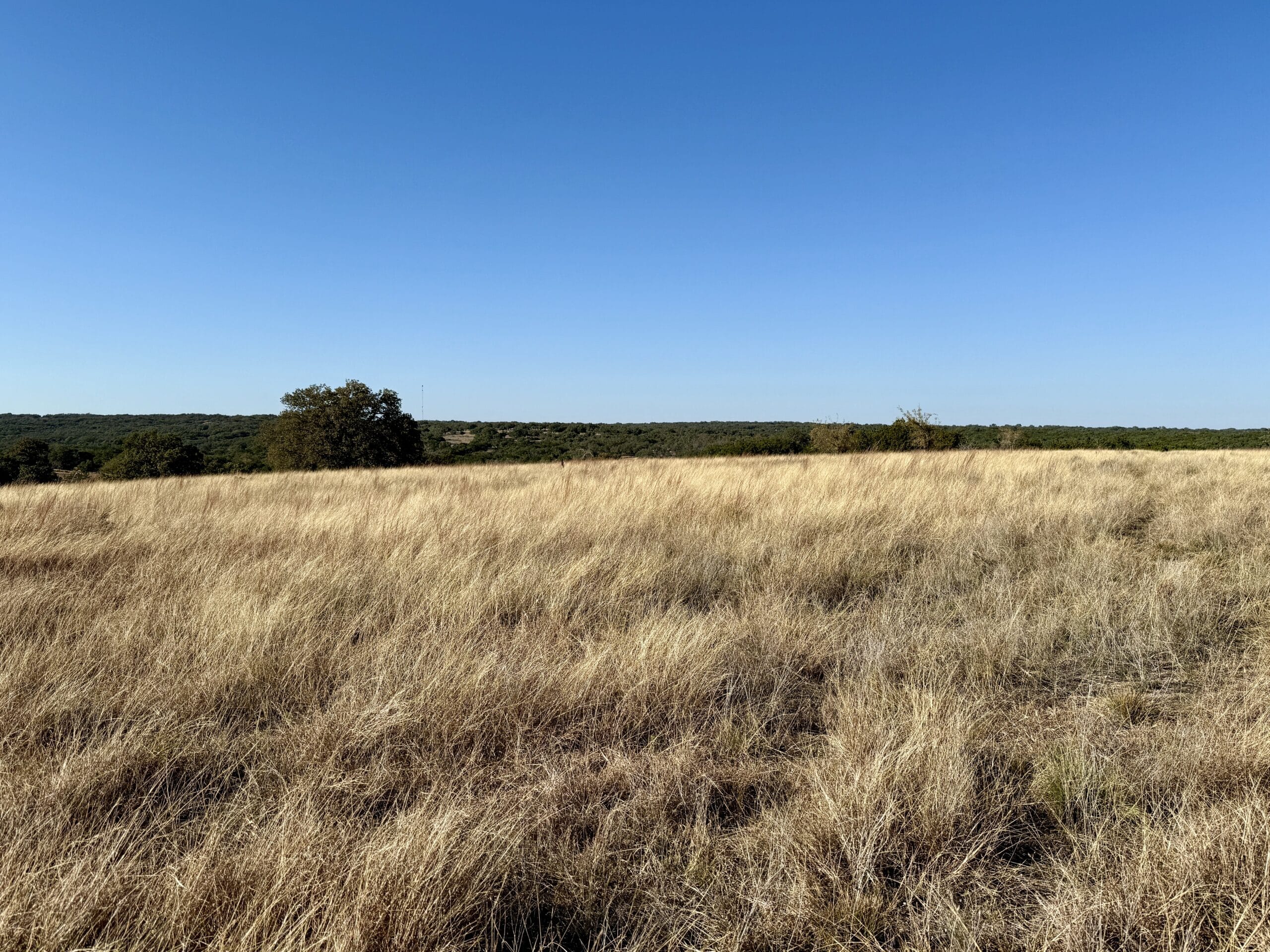 505 Acres Cinco Ranch | Hill Country Ranch for Sale | Dullnig Ranches