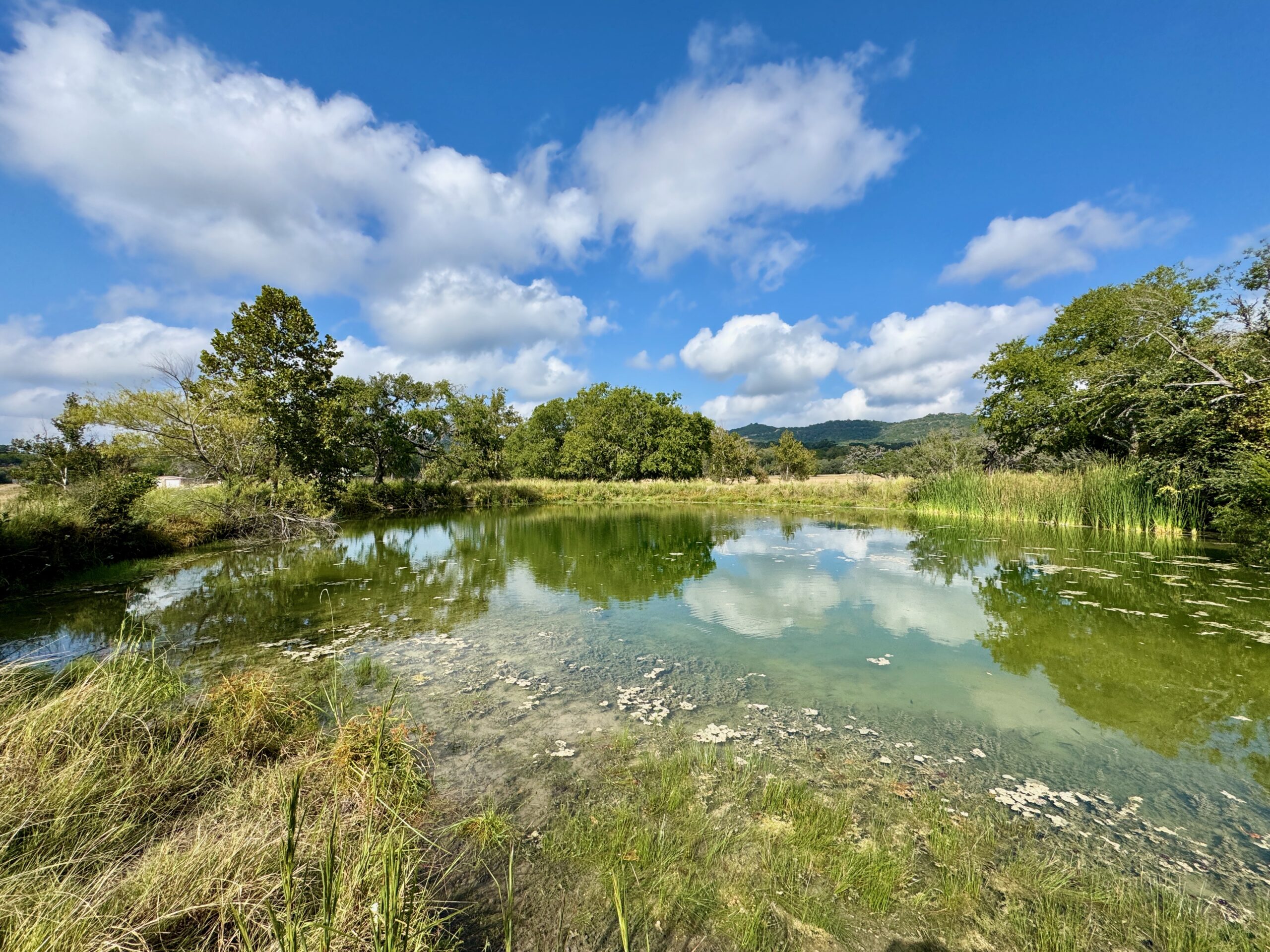702 Acres Heart Rock Ranch | Hill Country Ranch for Sale | Dullnig Ranches