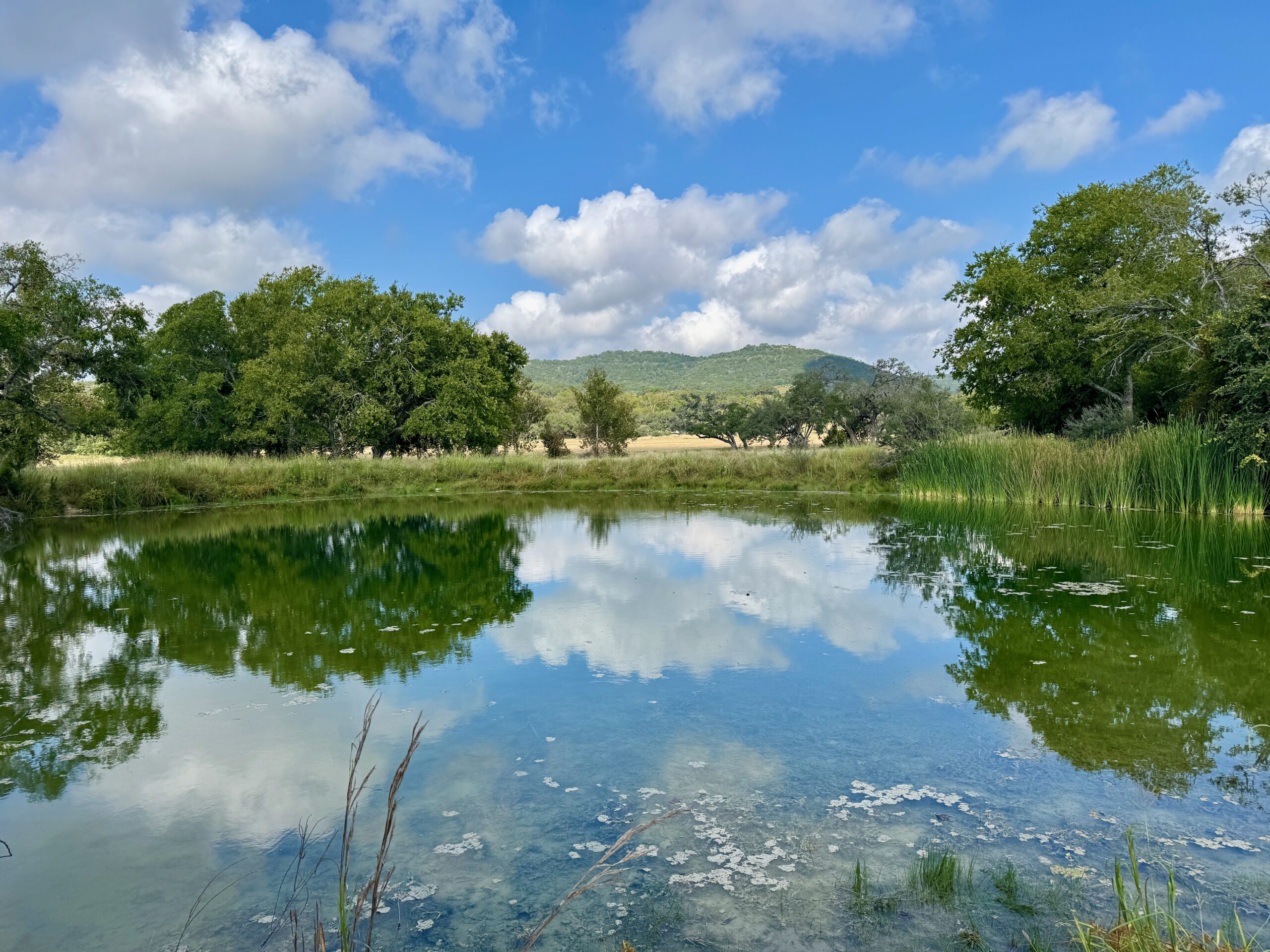 702 Acres Heart Rock Ranch | Hill Country Ranch for Sale | Dullnig Ranches